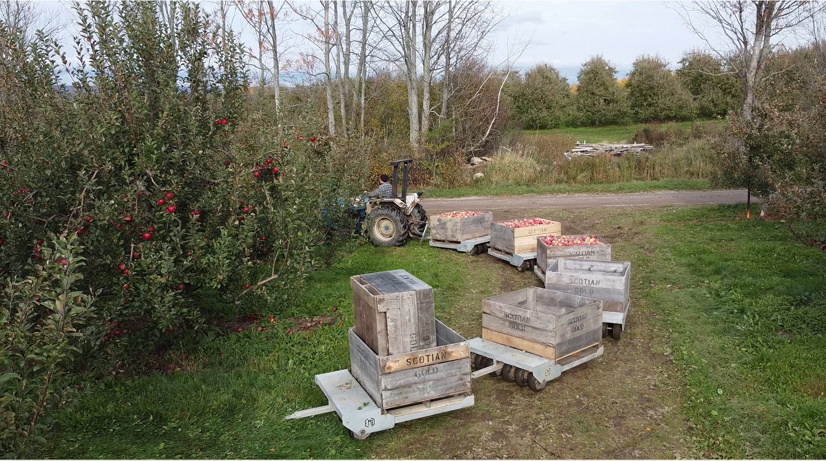 APPLE BIN TRAILER – SINGLE BIN - Eastern manufacturing and design